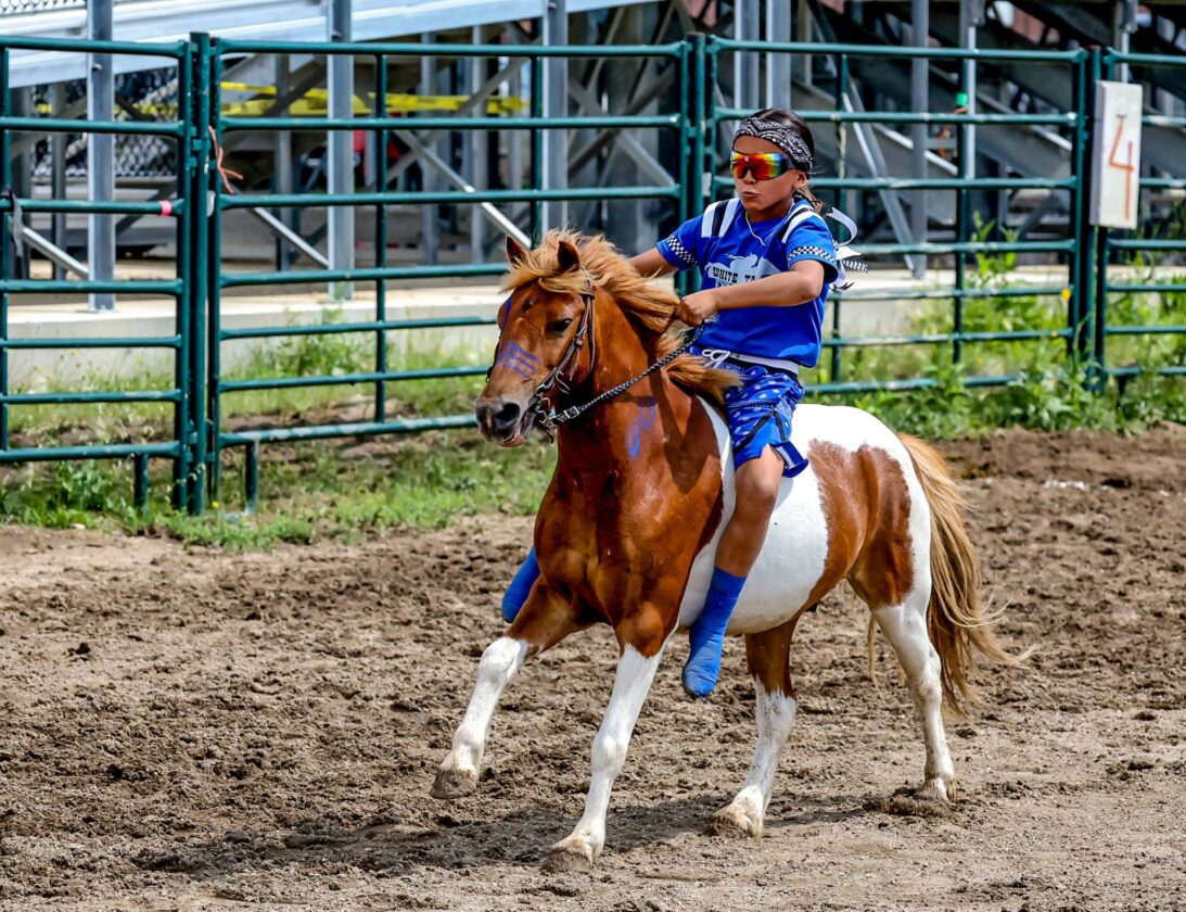 MHA Nation Indian Horse Relay | News, Sports, Jobs - Minot Daily News